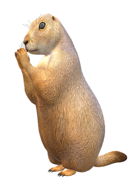 Perrito De Las Praderas Animal - Imagen gratis en Pixabay