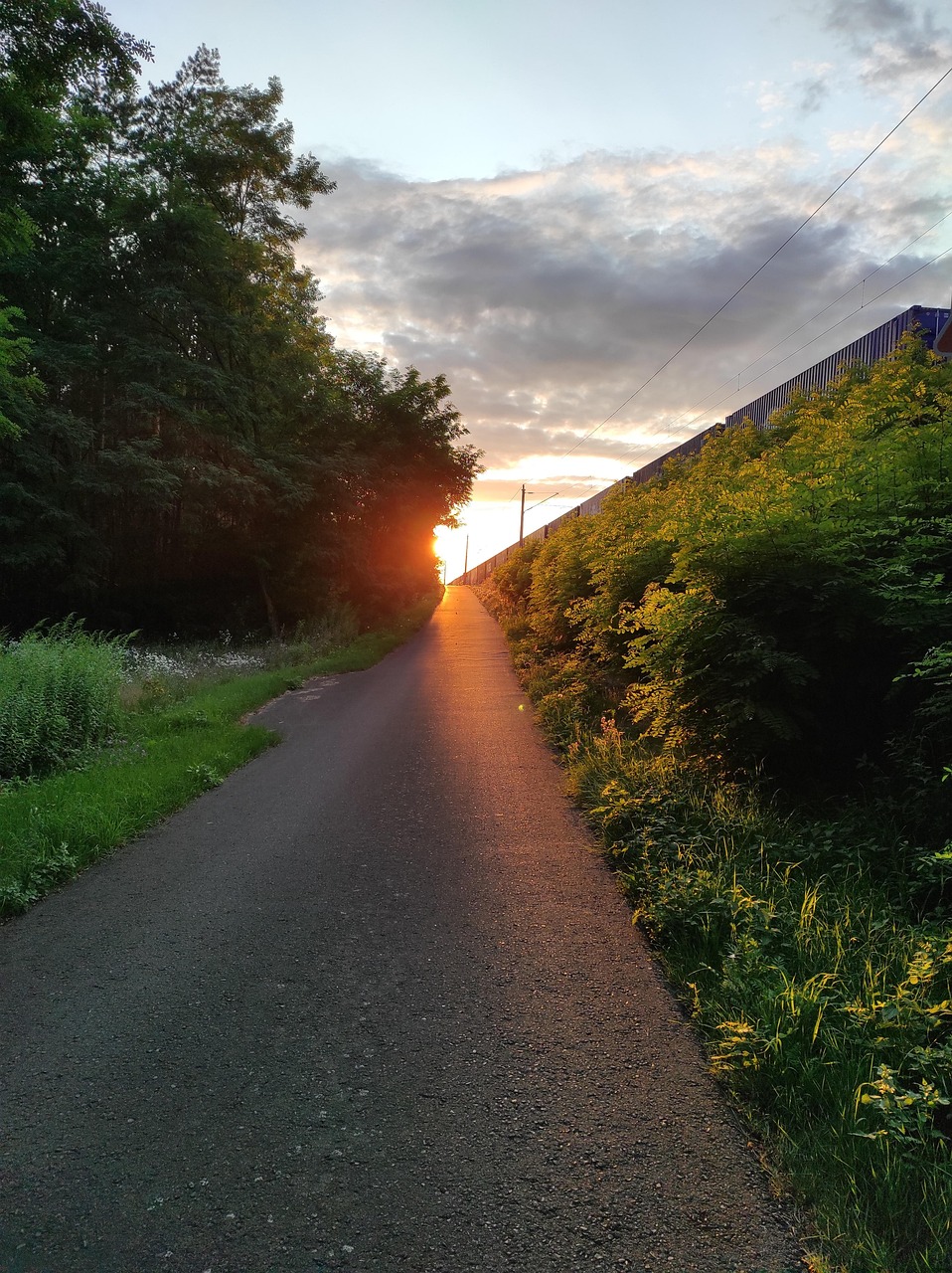 Road Landscape Nature - Free photo on Pixabay