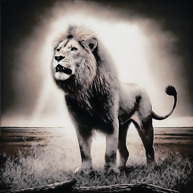 Download Lion, Nature, Animal. Royalty-Free Stock Illustration Image ...