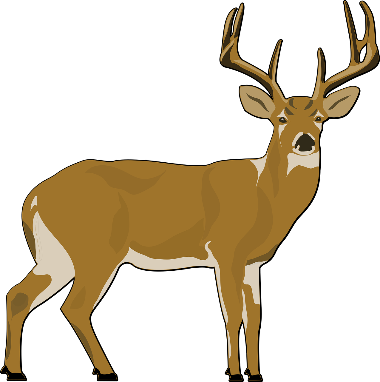 Download Deer, Elk, Antlers. Royalty-Free Vector Graphic - Pixabay