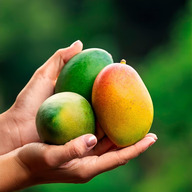 100+ Free Mangoes & Food Images - Pixabay