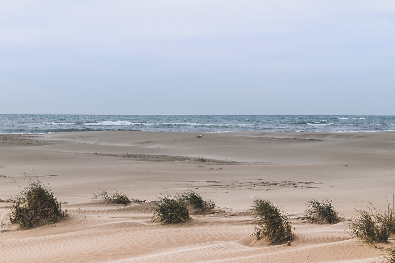 Download Sea, Waves, Beach. Royalty-Free Stock Illustration Image - Pixabay