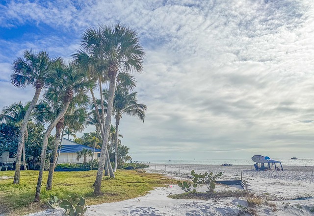 90,000+ Free Florida Beach & Florida Images - Pixabay