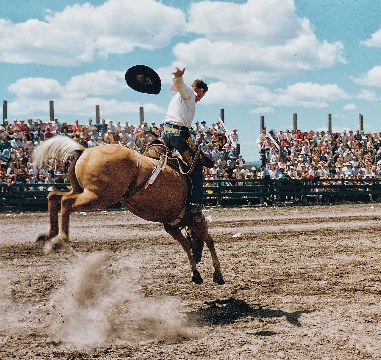 Rodeo Cowboy Western - Free photo on Pixabay