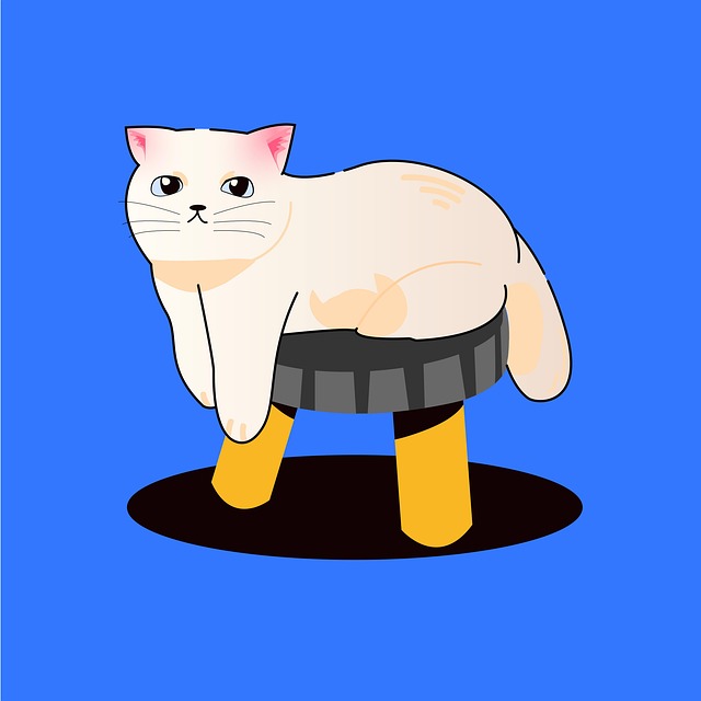 30,000+ Free Funny Cat On Bus & Pet Images - Pixabay