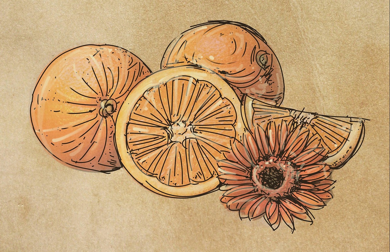 Download Oranges, Citrus, Fruits. Royalty-Free Stock Illustration Image ...