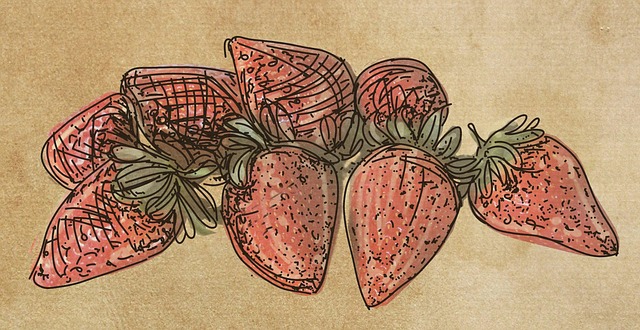 Download Strawberries Fruit Food Royalty Free Stock Illustration Image Pixabay