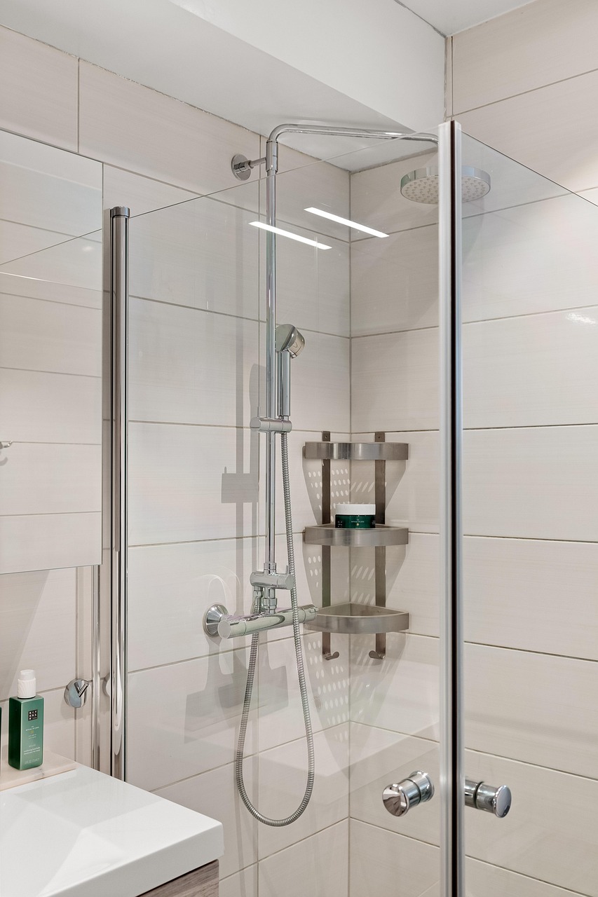 Shower Bathroom House - Free photo on Pixabay