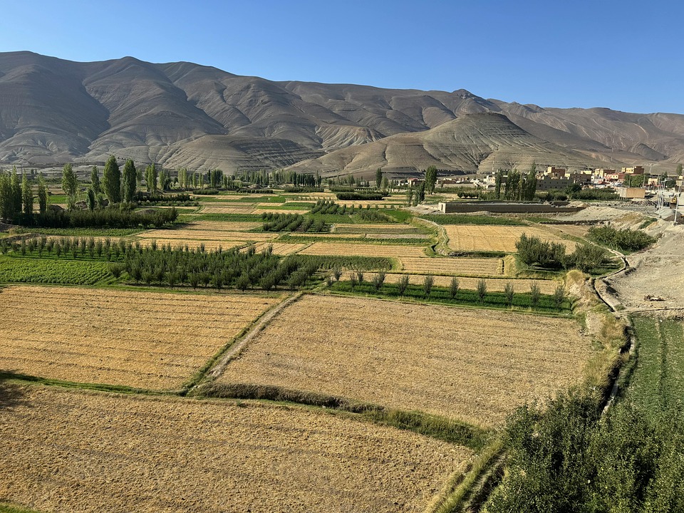 Expansive Agricultural Landscape - Free photo on Pixabay