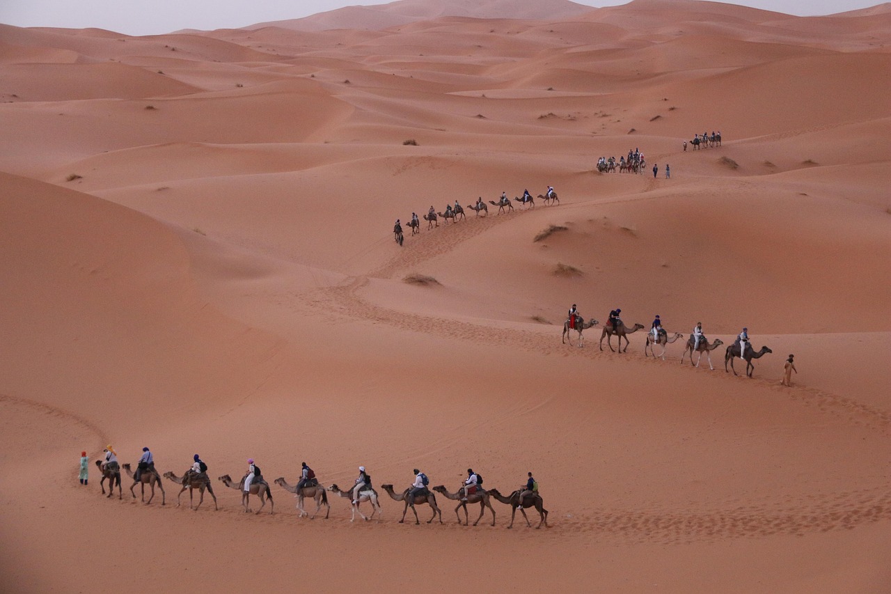 Deserto Saara Paisagem - Foto gratuita no Pixabay - Pixabay