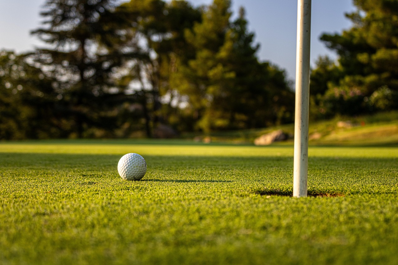1+ Free Golfislife & Golf Images - Pixabay
