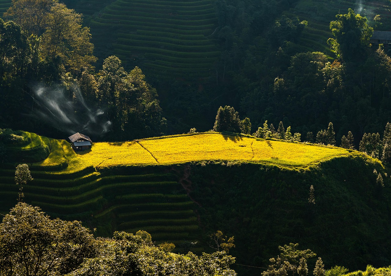 Rice Terraces Vietnam Nature - Free photo on Pixabay