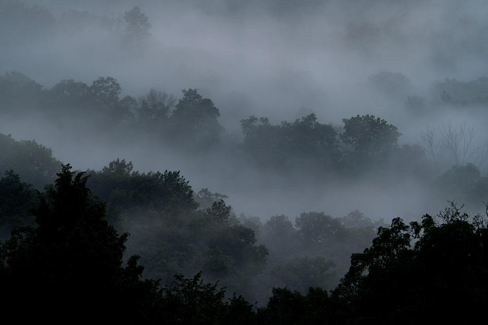 Fog Landscape Wisconsin Foggy - Free photo on Pixabay - Pixabay