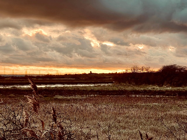 Church Marsh Wetland - Free photo on Pixabay - Pixabay