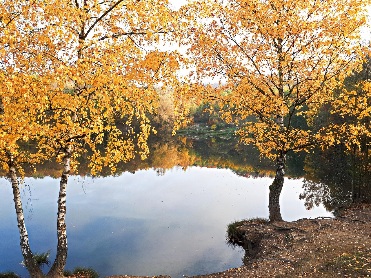 Lake Water - Free photo on Pixabay - Pixabay