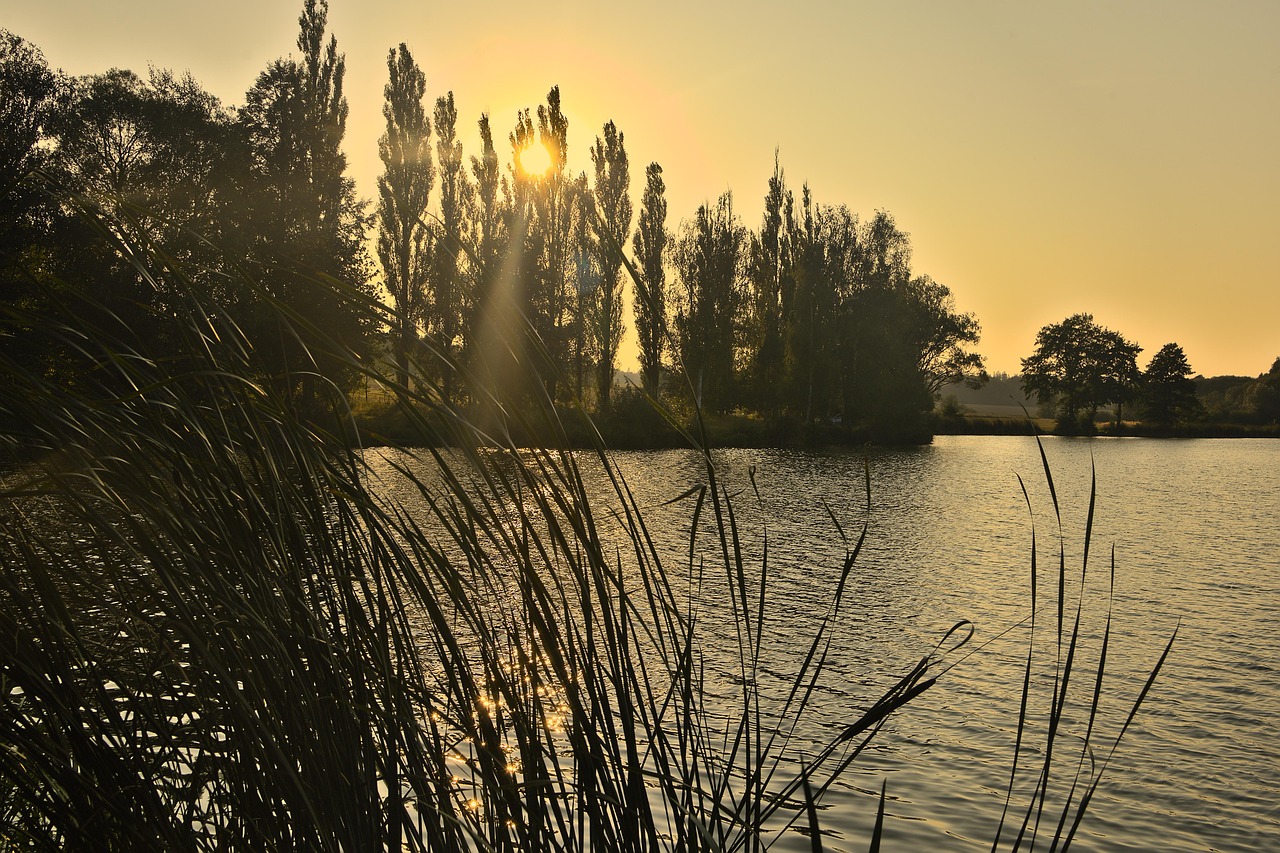 Dawn Nature Landscape - Free photo on Pixabay