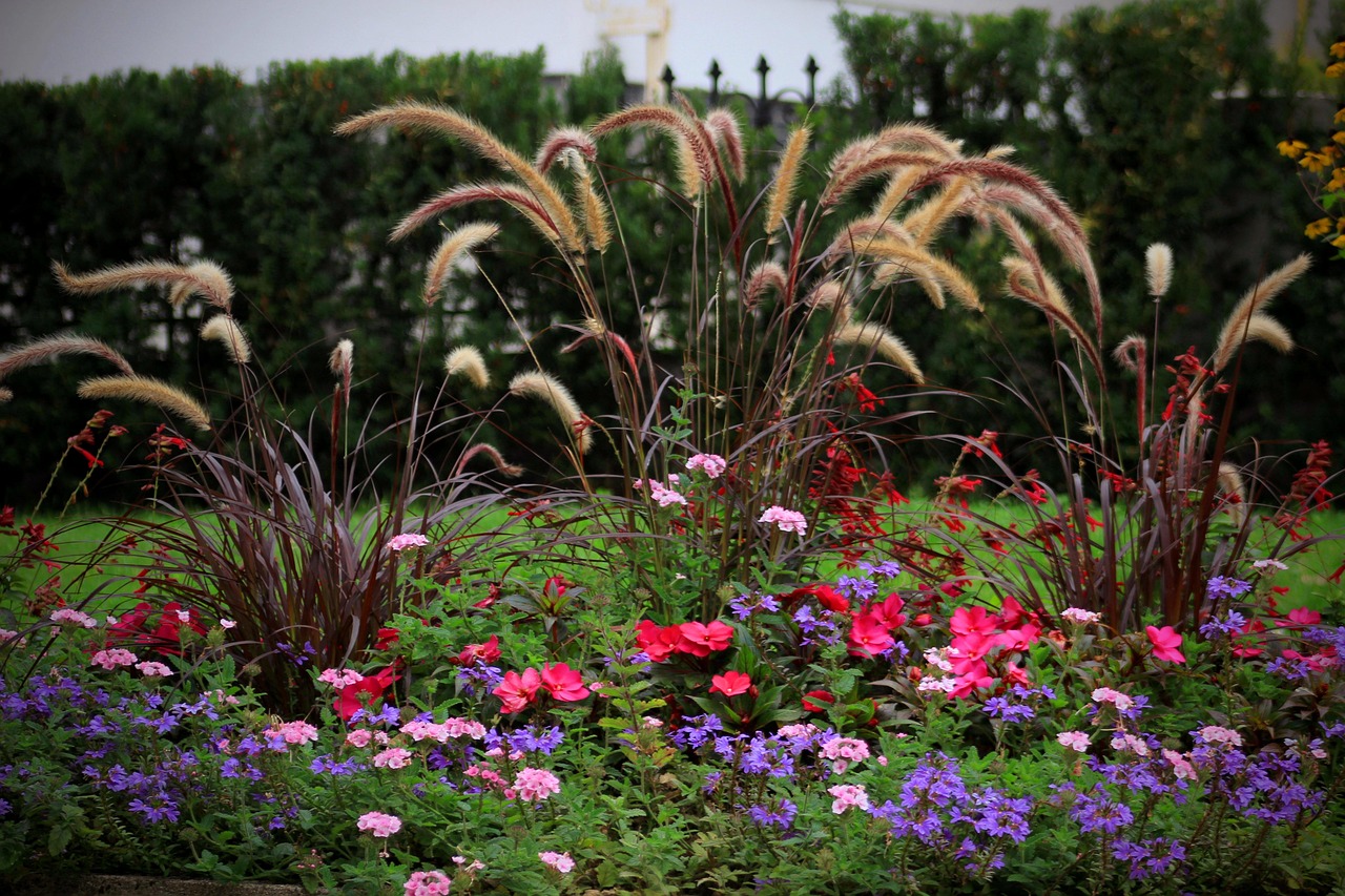 Blumen Sommer Garten - Kostenloses Foto auf Pixabay