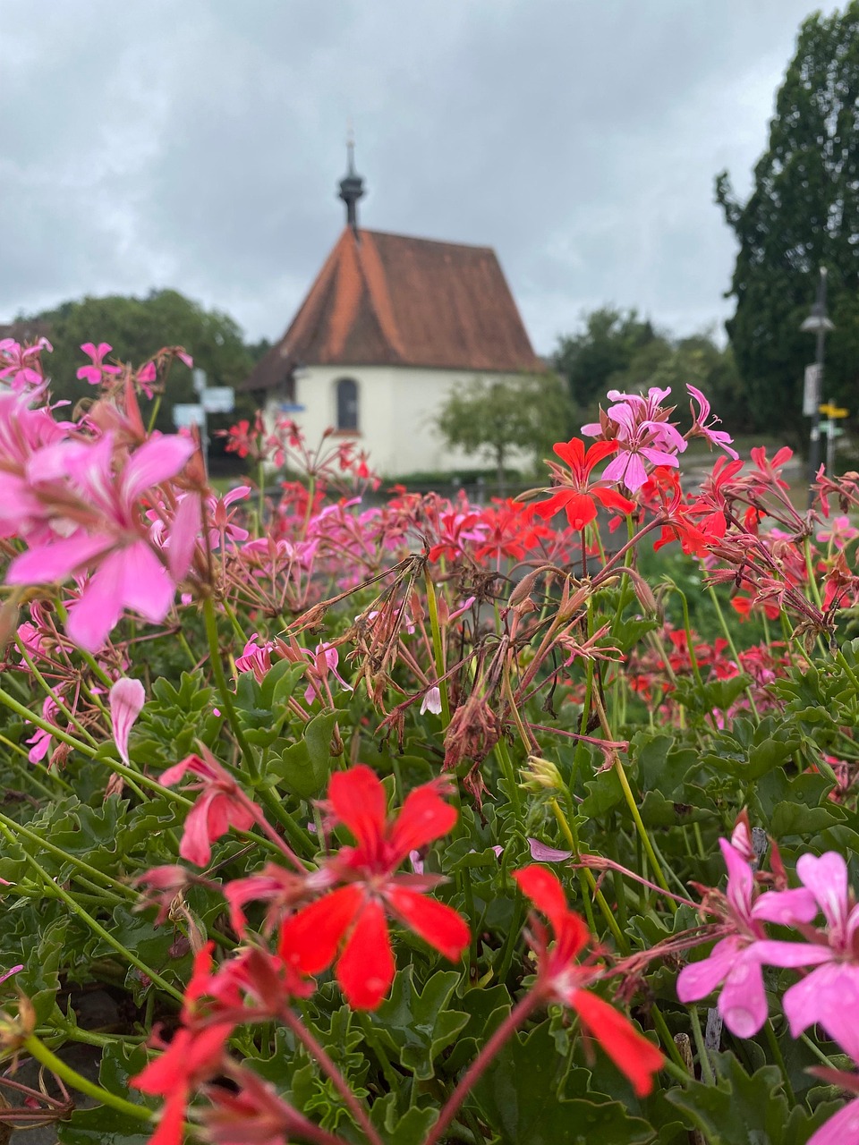 Chapel Church Nature - Free photo on Pixabay
