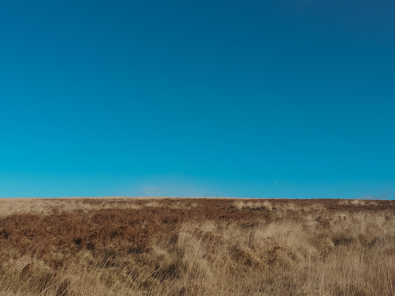 Nature Landscape Wallpaper - Free photo on Pixabay