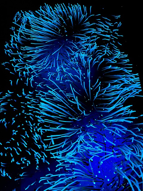 Blue Technology Computer - Free photo on Pixabay