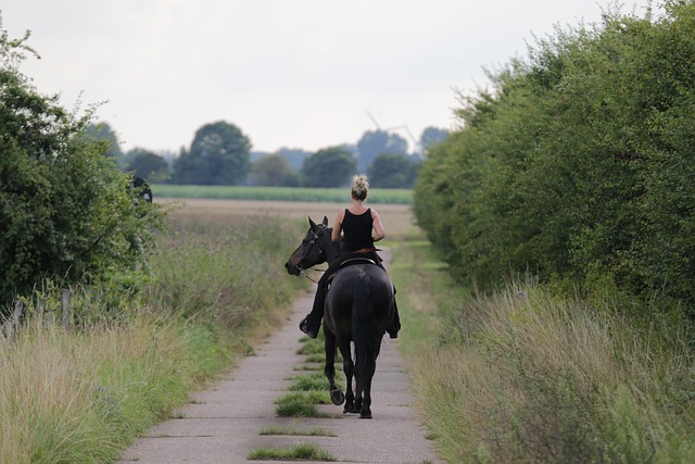 Rider Horse Riding - Free photo on Pixabay