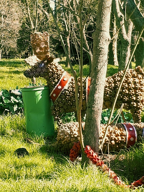 Recycled Forest Plastic Bottles - Free photo on Pixabay - Pixabay