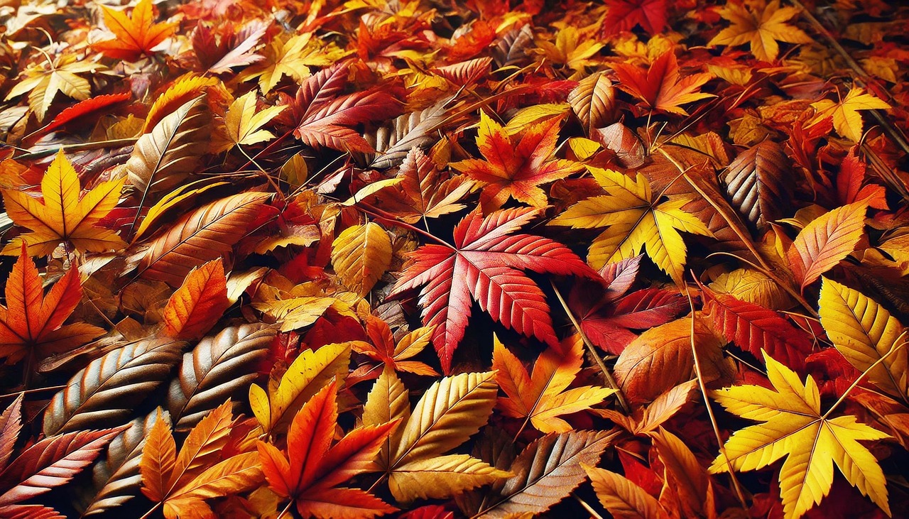 Download Ai Generated, Autumn, Foliage. Royalty-Free Stock Illustration ...