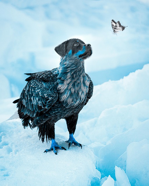 Download Dog, Bird, Hybrid. Royalty-Free Stock Illustration Image - Pixabay