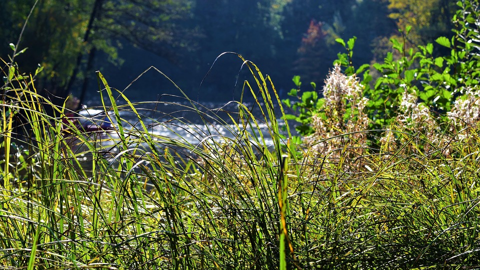 La Nature Paysage En Plein Air - Photo gratuite sur Pixabay - Pixabay