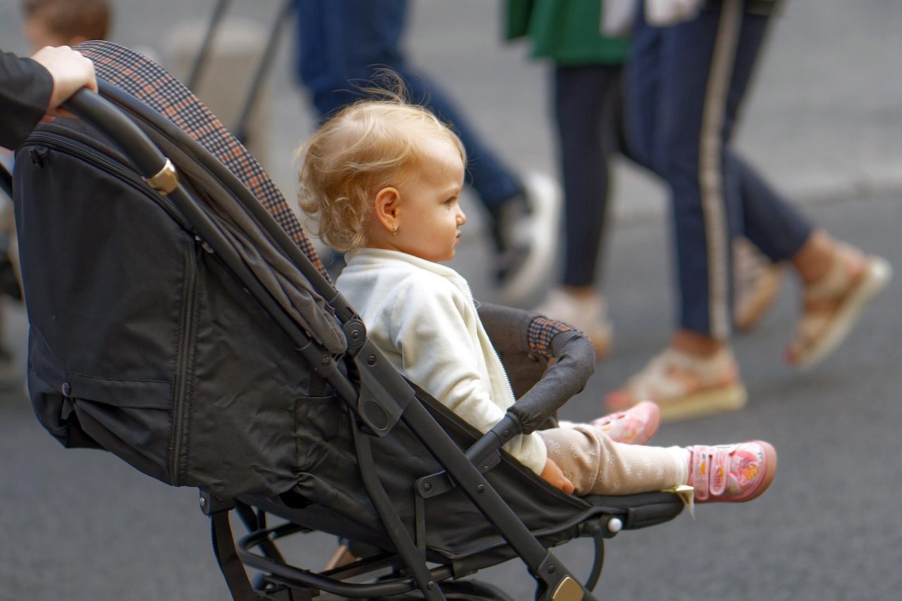 10,000+ Free Baby Stroller & Stroller Images - Pixabay
