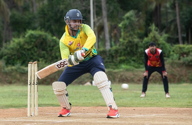 Cricket Bat Ground - Free photo on Pixabay - Pixabay