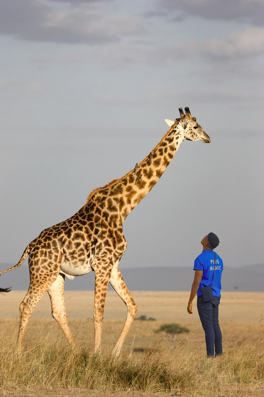 20,000+ Free Tall Man & Man Images - Pixabay