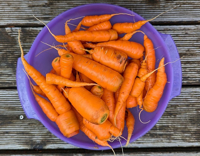 Yellow Beets Harvest Garden - Free photo on Pixabay