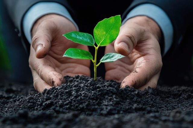 Download Ai Generated, Plants, Soil. Royalty-Free Stock Illustration ...