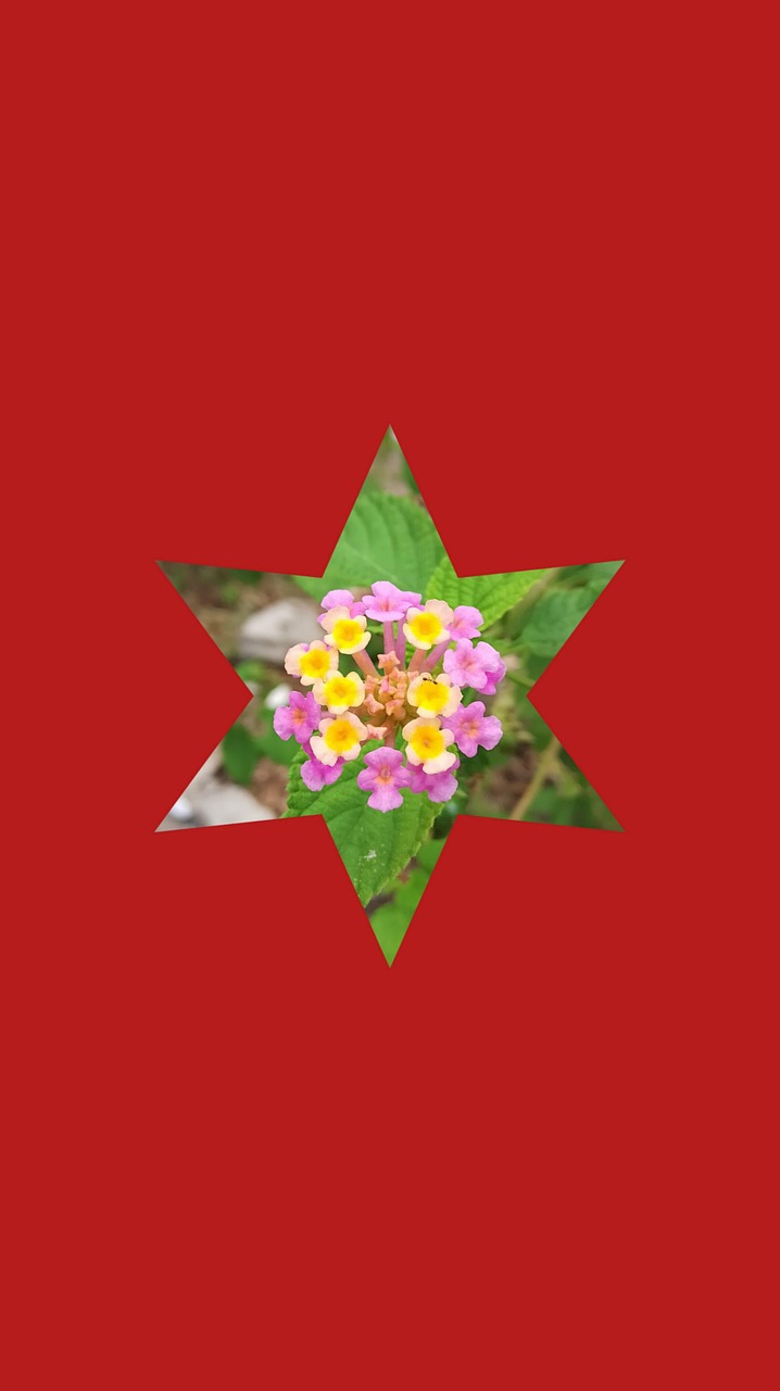 Bintang Merah Warna-Warni - Gambar gratis di Pixabay