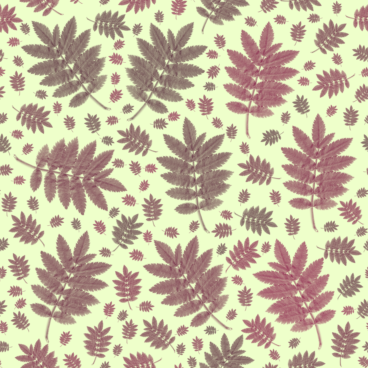 Feuilles Modèle Scrapbooking - Image gratuite sur Pixabay