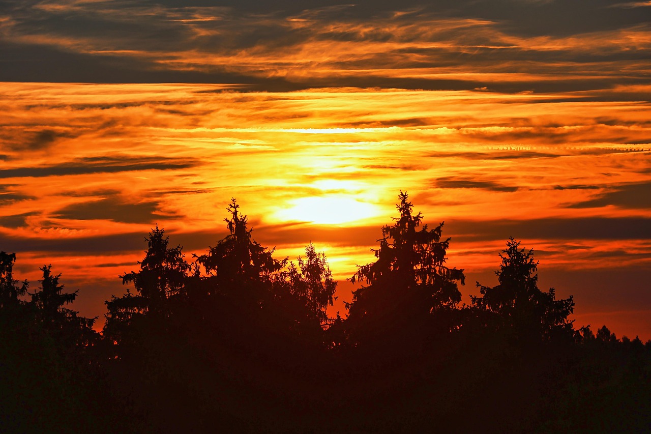 Sunset Landscape Trees - Free photo on Pixabay