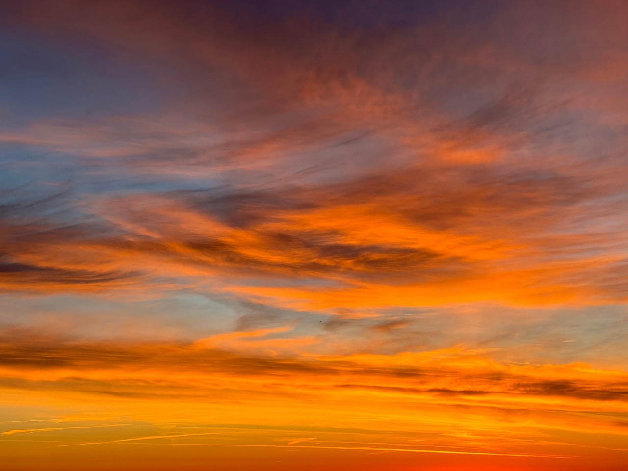 Morning Sunrise Wallpaper 4k