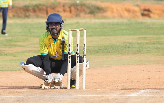 Cricket Sports Sport - Free photo on Pixabay