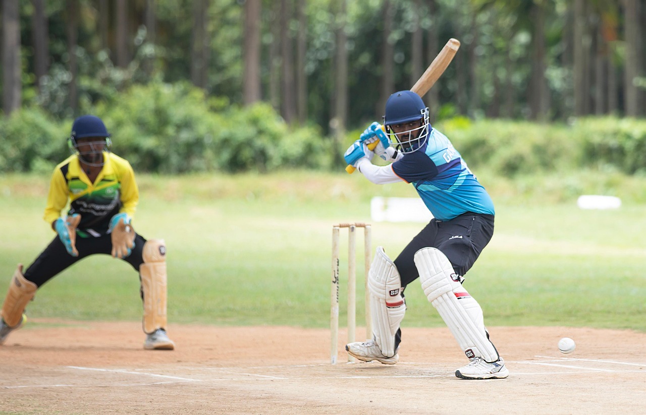 Photographie De Cricket - Photo gratuite sur Pixabay