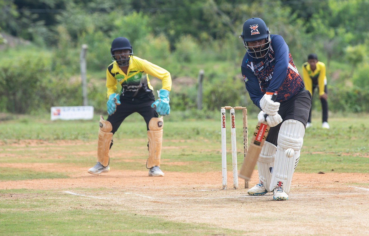 Fotografía De Cricket - Foto gratis en Pixabay