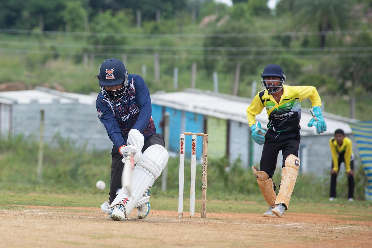 Photographie De Cricket - Photo gratuite sur Pixabay