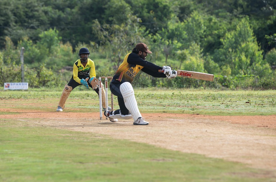 Photographie De Cricket - Photo gratuite sur Pixabay