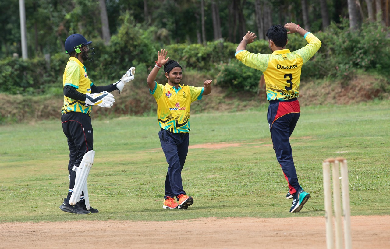 Photographie De Cricket - Photo gratuite sur Pixabay