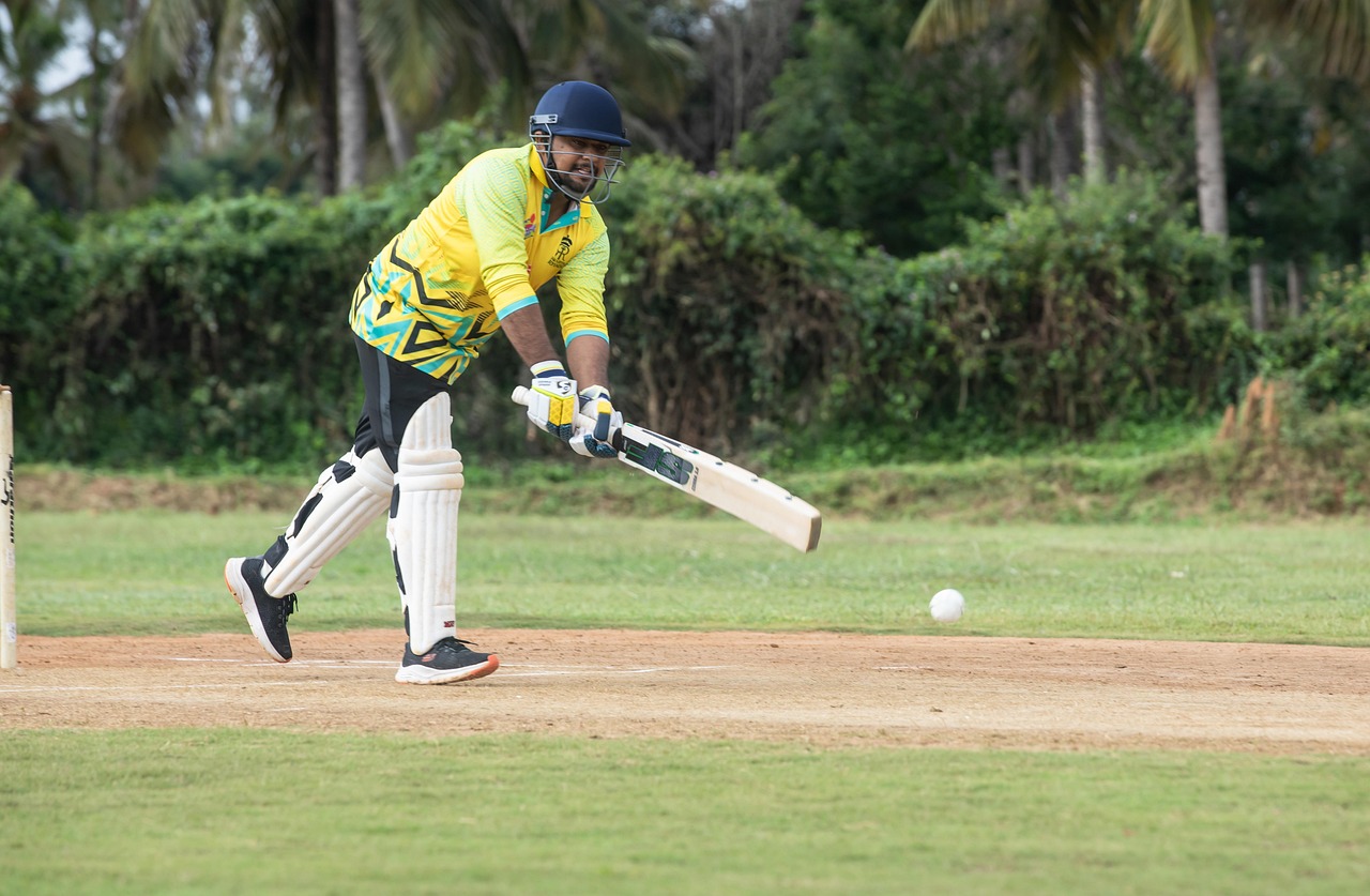 Photographie De Cricket - Photo gratuite sur Pixabay