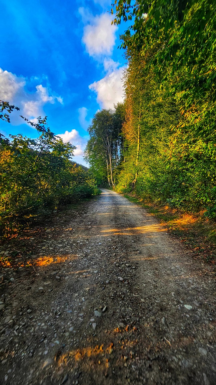 Nature Way Sky - Free photo on Pixabay