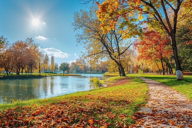 Download Autumn, Autumn Leaves, Lake. Royalty-Free Stock Illustration ...