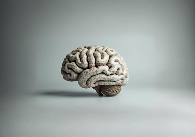 Download Brain, Human, Anatomy. Royalty-Free Stock Illustration Image ...