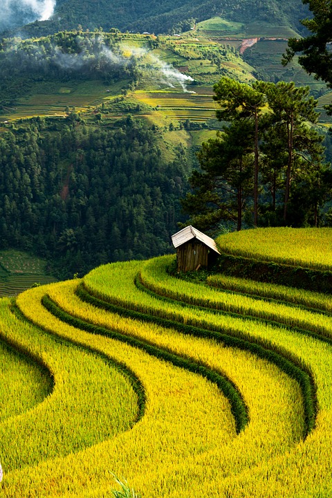 Terraces Farm Field - Free photo on Pixabay