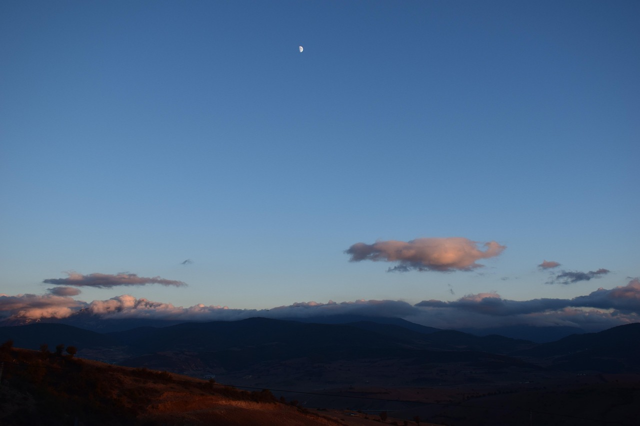 Moon Nature Night - Free photo on Pixabay